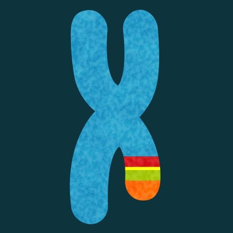 CML Support | Yorkshire Cancer Community