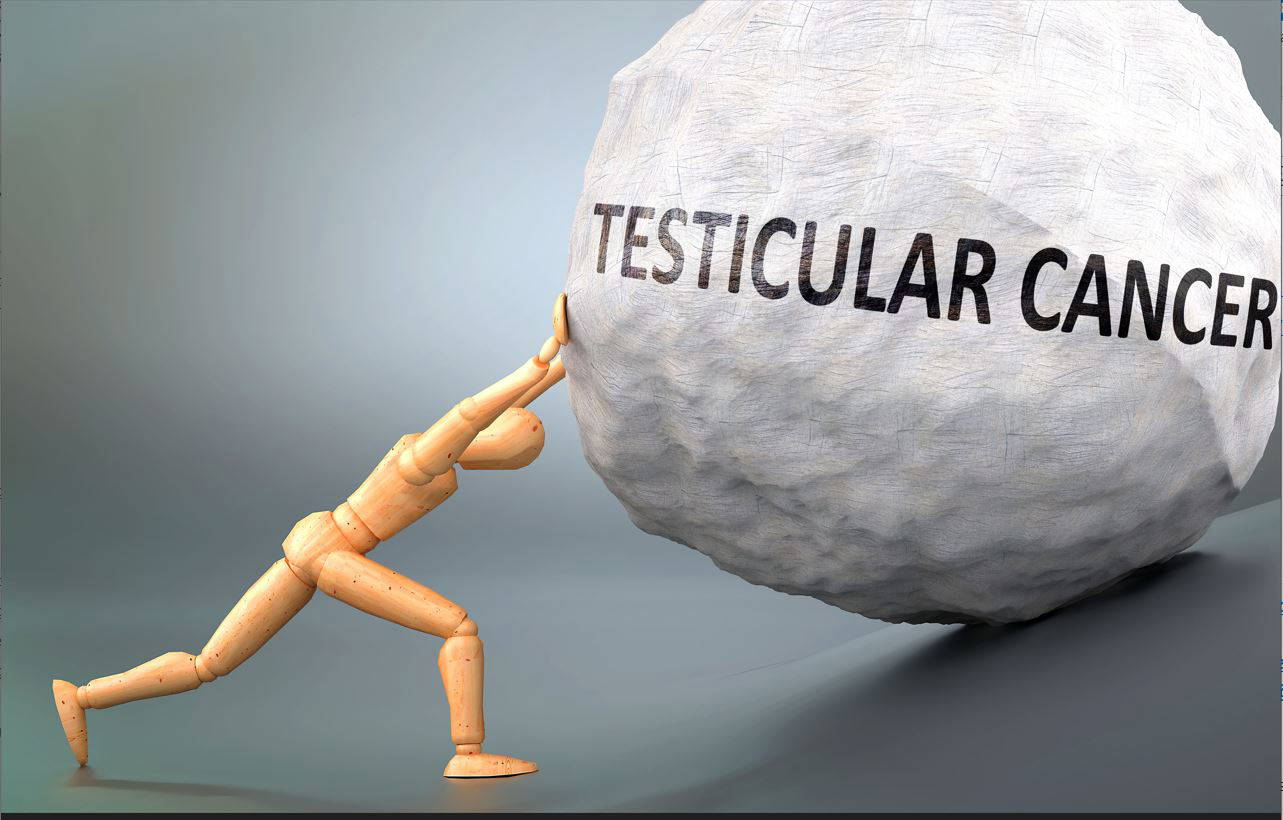 Testicular Cancer | Yorkshire Cancer Community